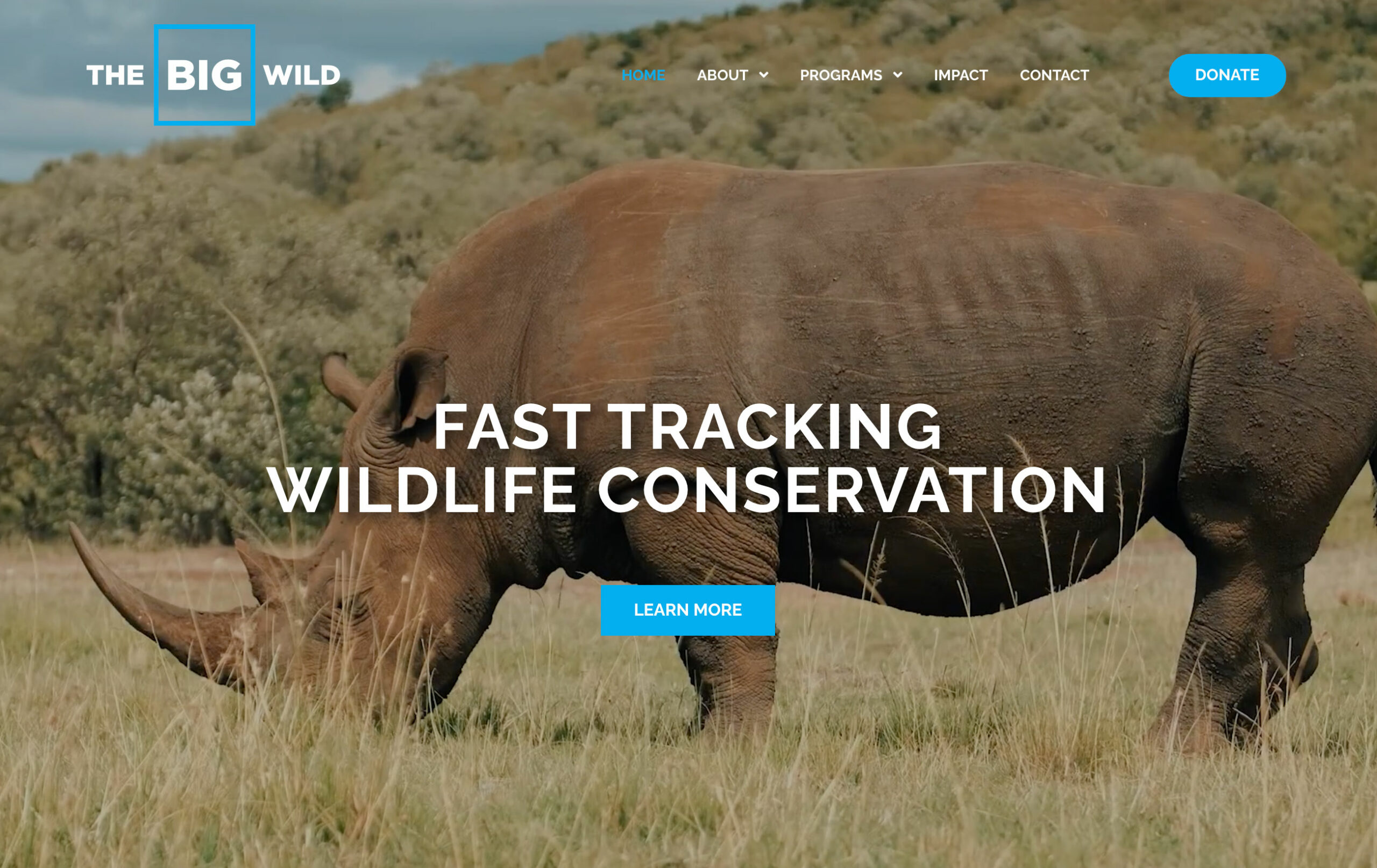 Beginner Python Project Ideas For Environmental Monitoring – peerdh.com